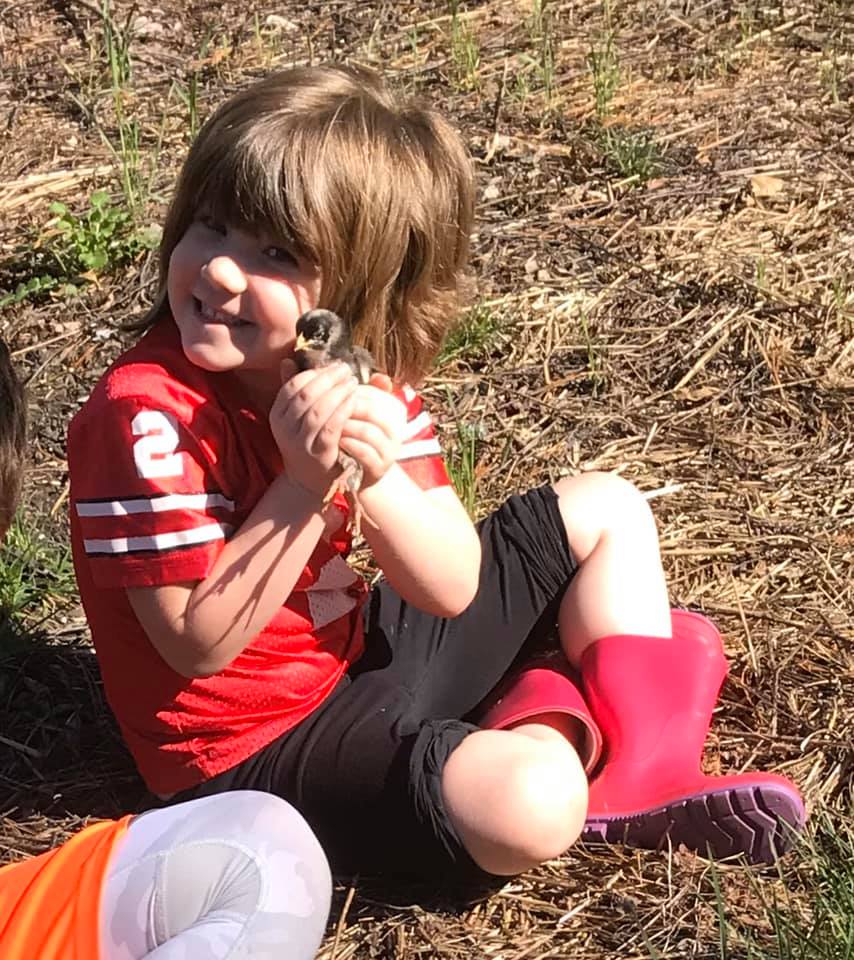 Meet Elsa | THE HALF-ASS HOMESTEAD