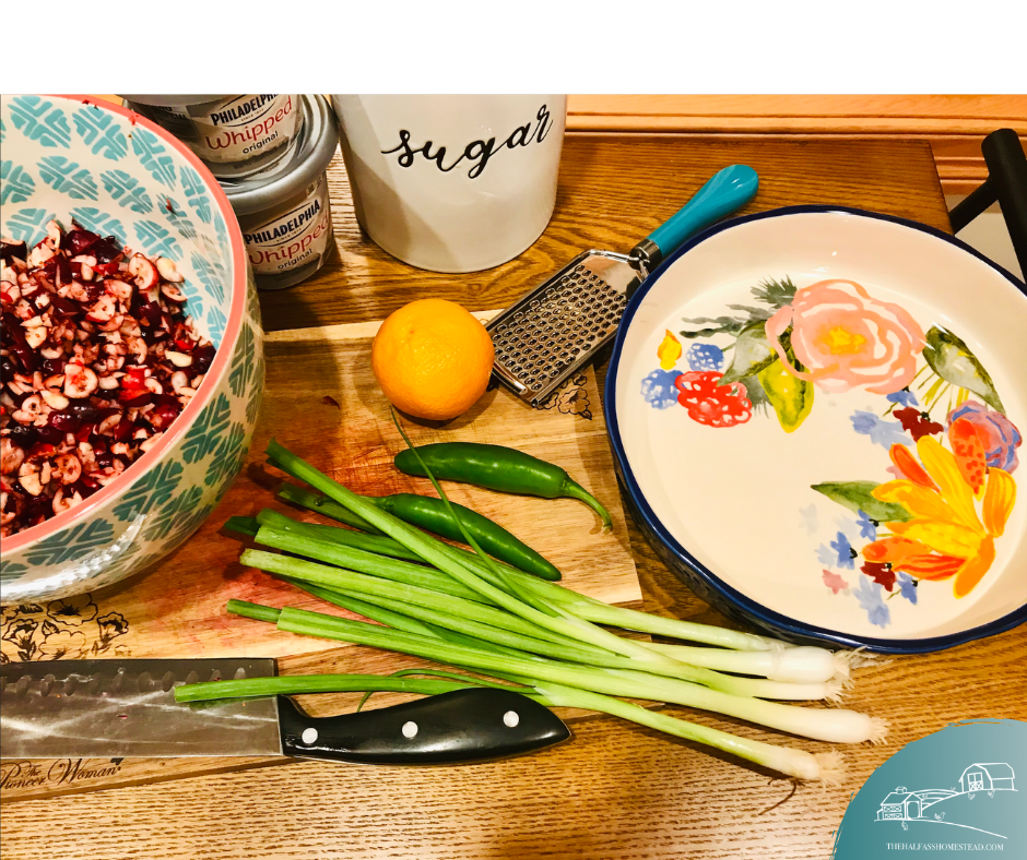 Cranberry Heat Dip | THE HALF-ASS HOMESTEAD